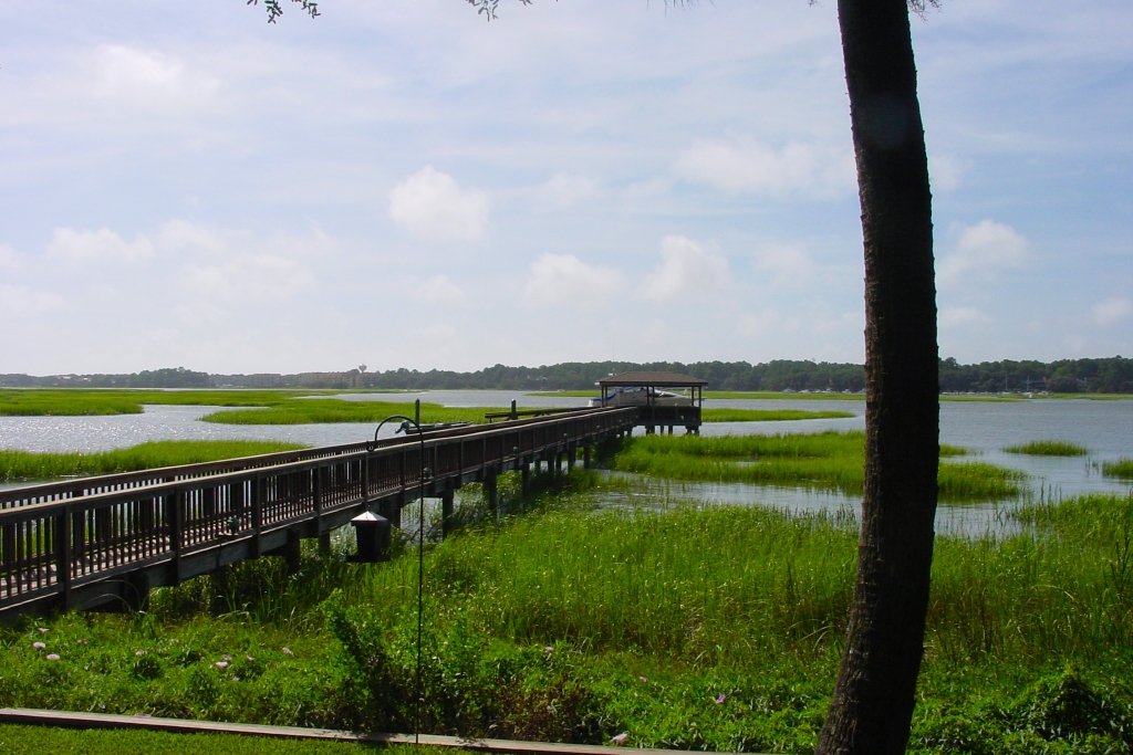Indigo Run Plantation | Hilton Head 360